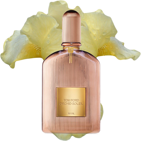 Tom Ford Orchid Soleil Perfume And Beauty Magazine