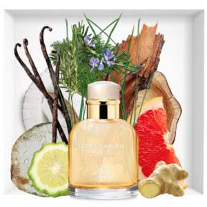 Light Blue Sun by Dolce & Gabbana 2019 | ReaStars Magazine - Beauty ...