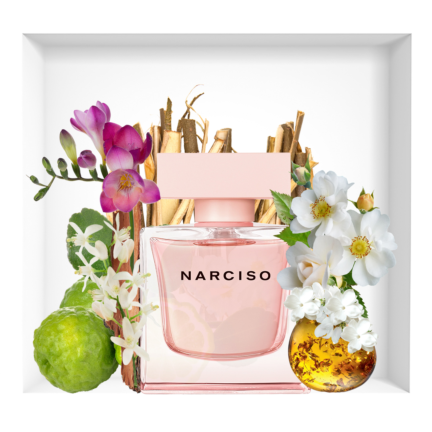 NARCISO Eau de Parfum CRISTAL | ReaStars Magazine - Beauty, Fashion ...